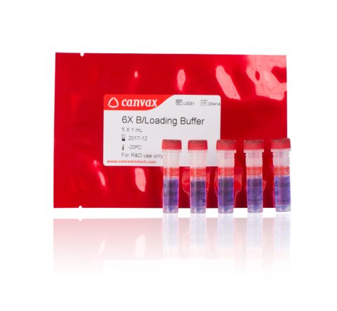 6× BX Loading Buffer – DNA Electrophoresis Dye | Canvax